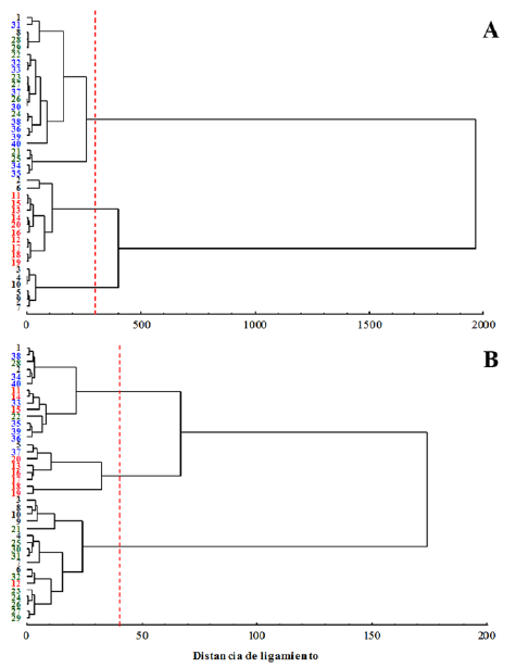 Diferenciación morfológica poblacional de Magnolia rzedowskiana ...