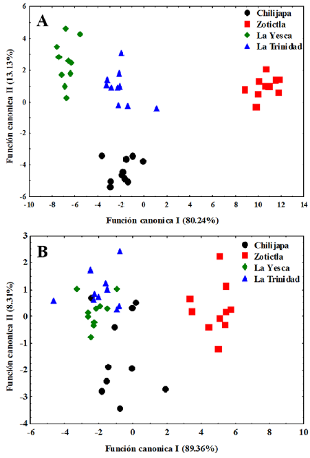 Diferenciación morfológica poblacional de Magnolia rzedowskiana ...