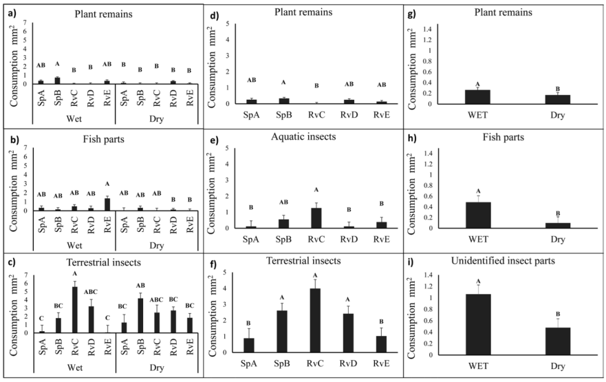 Trophic biology of the twospot livebearer, Pseudoxiphophorus ...