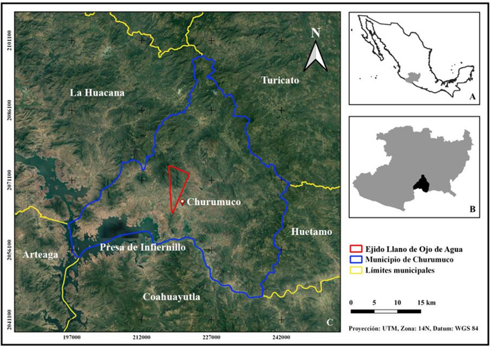 Vegetación y flora vascular del ejido Llano de Ojo de Agua, Depresión ...