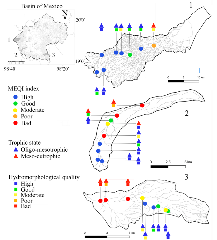 The Macroalgae Ecological Quality Index (MEQI) in the Basin of Mexico ...