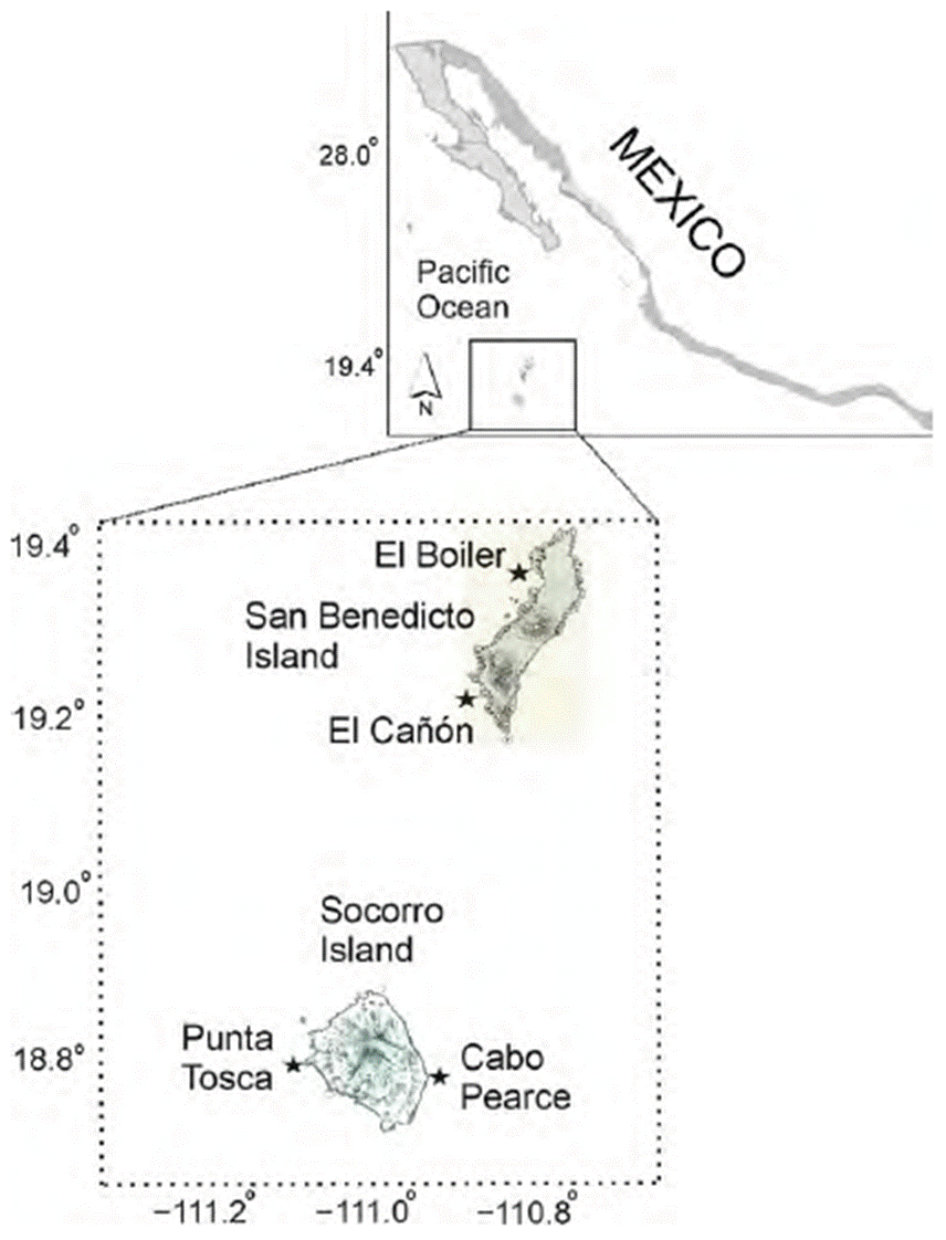 Additions to the Mastogloia (Bacillariophyceae: Mastogloiales) of the ...