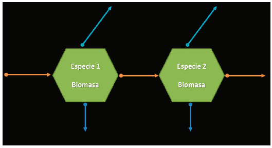 Redes tróficas como herramienta para el estudio de la diversidad y ...