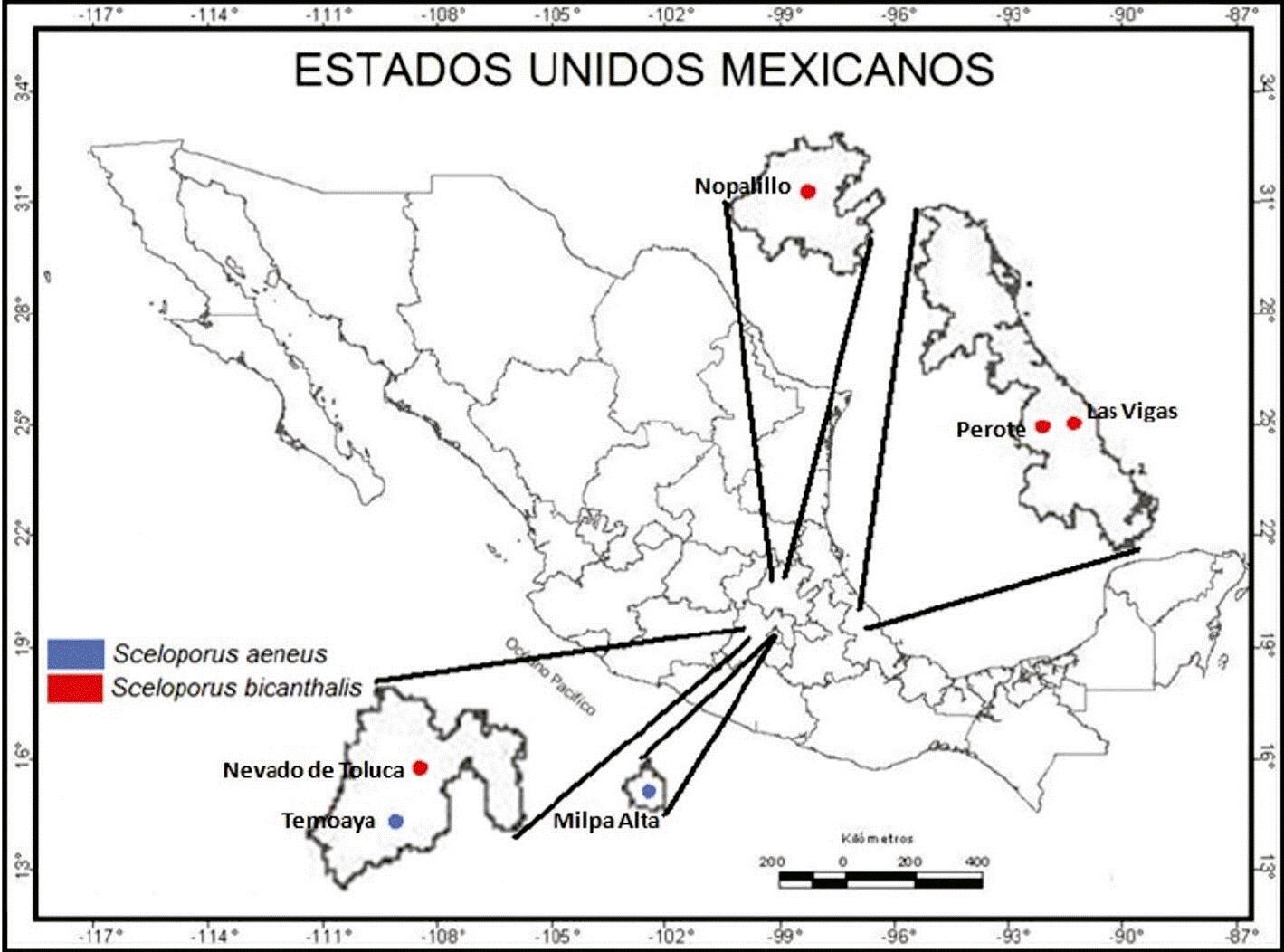 Variación morfológica de las escamas cefálicas en Sceloporus aeneus y ...