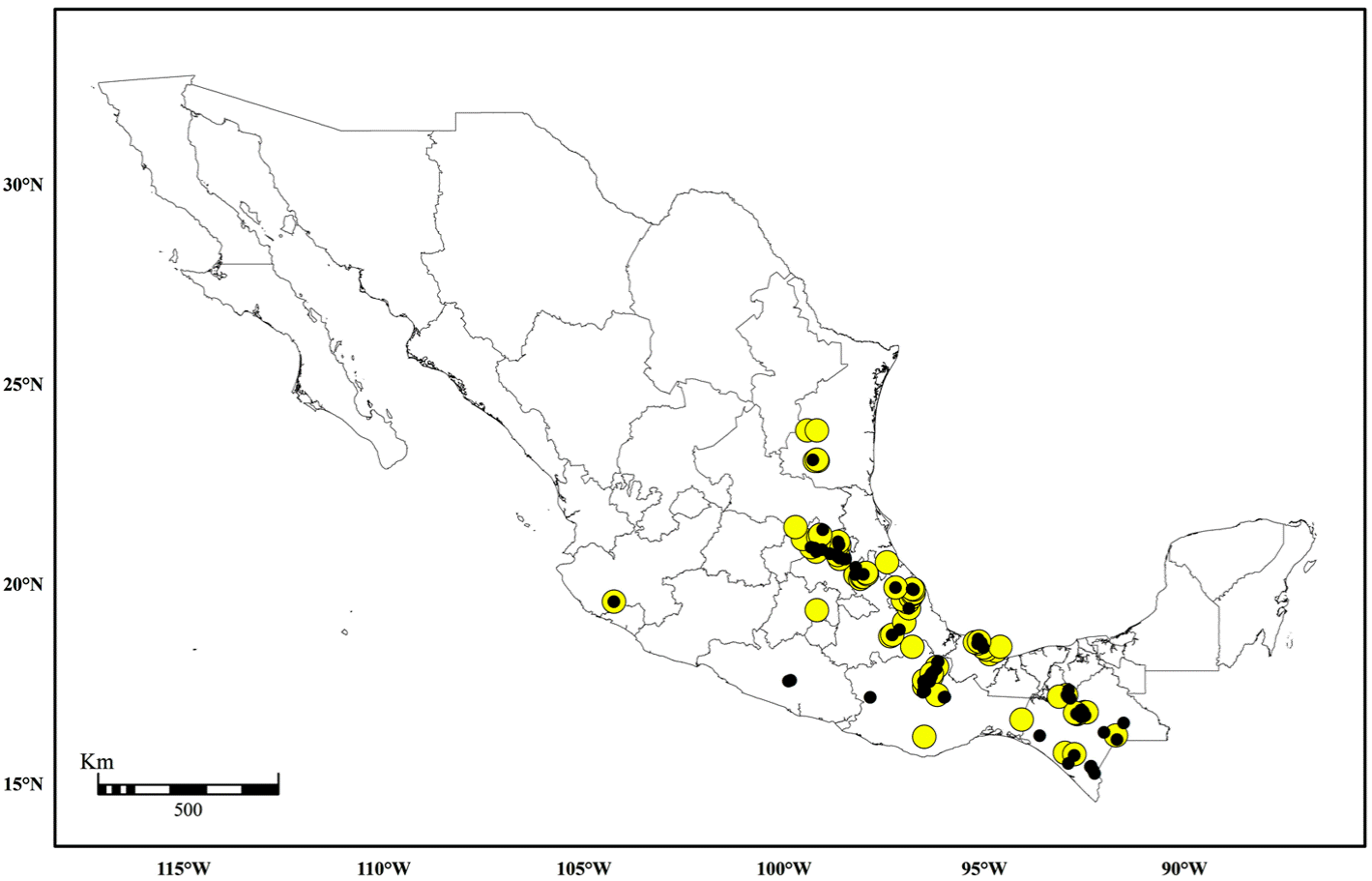 Pilotrichella (Bryophyta: Lembophyllaceae) in Mexico