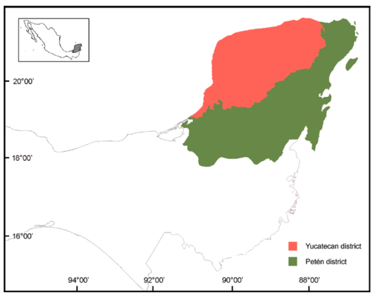 On the biogeographic regionalization of the Yucatán Peninsula: a ...