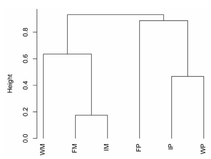 Ringtails (Bassariscus astutus) as seed dispersers in an urban gradient ...