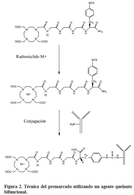 Agentes quelantes bifuncionales utilizados en la síntesis de radiofármacos