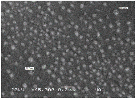 The renal effects of a single and intravenous dose of titanium dioxide ...