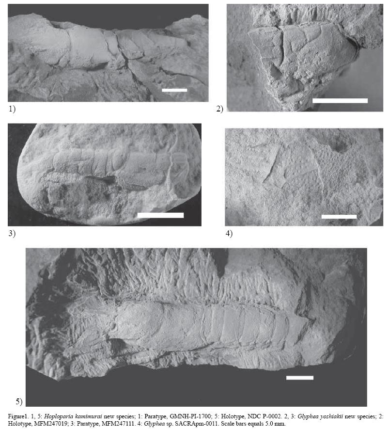New nephropid and glypheid lobsters from the Mesozoic of Japan