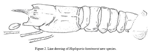 New nephropid and glypheid lobsters from the Mesozoic of Japan