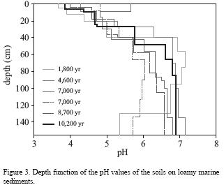 Soil formation in marine sediments and beach deposits of southern ...