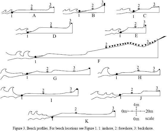 Beach sand composition and provenance in a sector of the southwestern ...