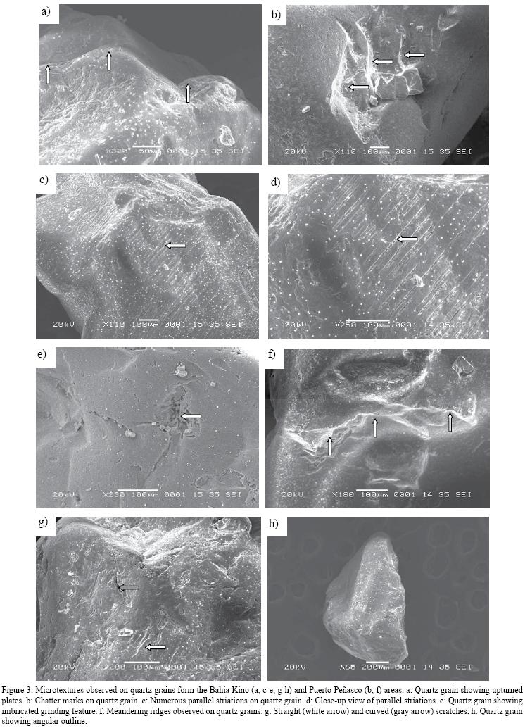 Microtextures on quartz grains in the beach sediments of Puerto Peñasco ...