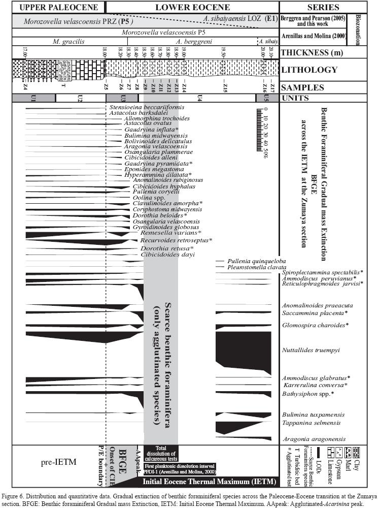 Foraminiferal turnover across the Paleocene/Eocene boundary at the ...