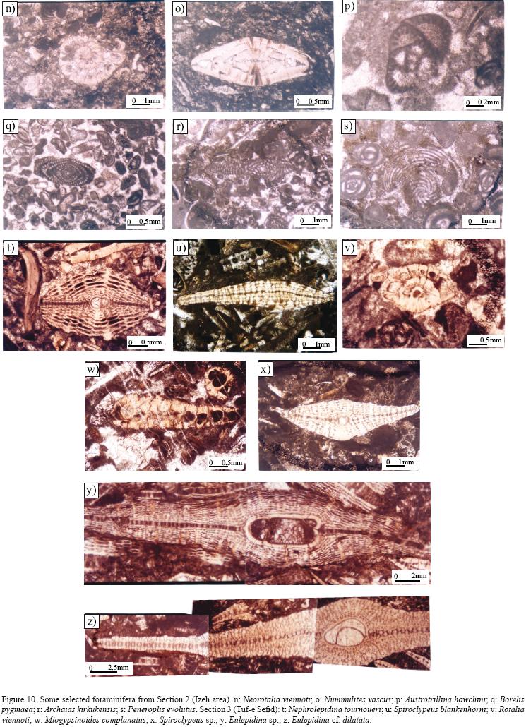 Facies analysis of the Asmari Formation in central and north-central ...