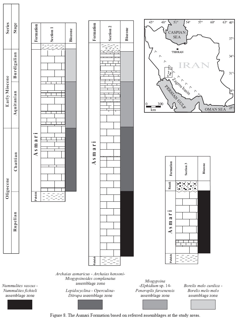 Facies analysis of the Asmari Formation in central and north-central ...