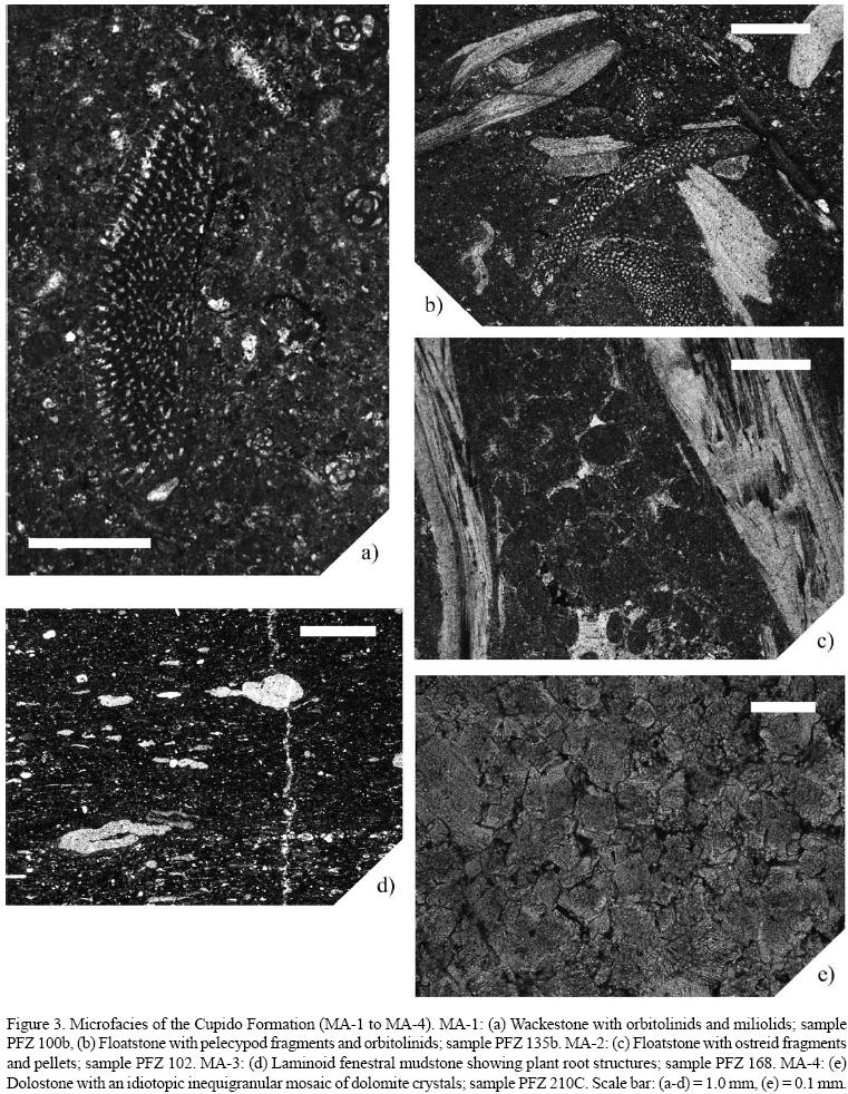 Microfacies analysis and paleoenvironmental dynamic of the Barremian ...