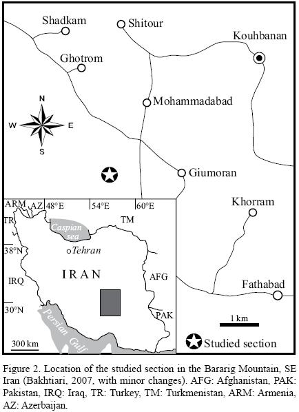 Microbiostratigraphy of the Lower Cretaceous strata from the Bararig ...