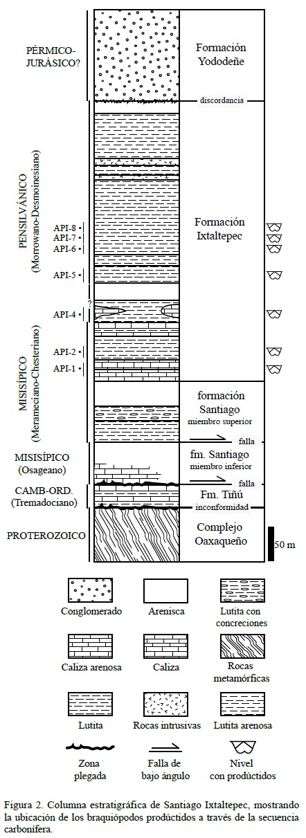 Nuevos braquiópodos prodúctidos (Rhynchonelliformea, Strophomenata) del ...