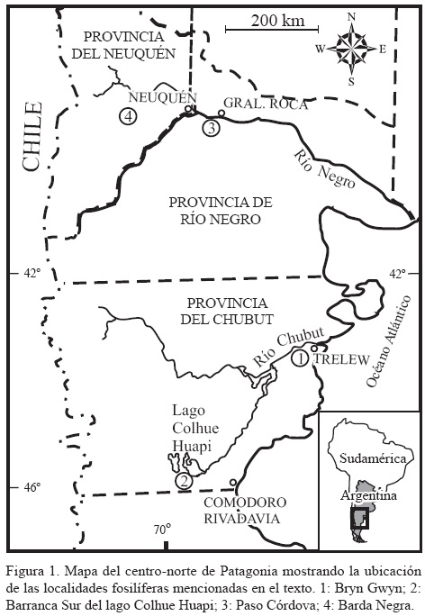 Un Hegetotheriidae (Mammalia, Notoungulata) basal del Mioceno temprano ...