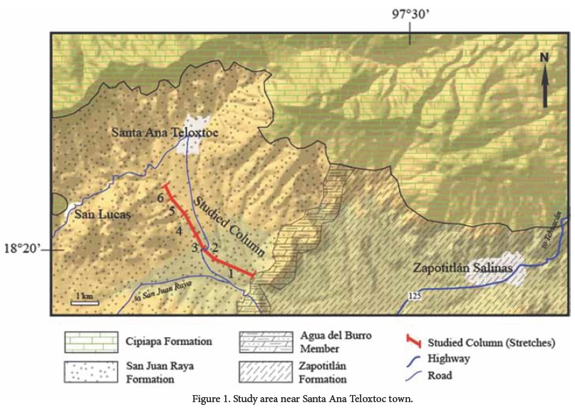 Paleoenvironmental interpretation using fossil record: San Juan Raya ...