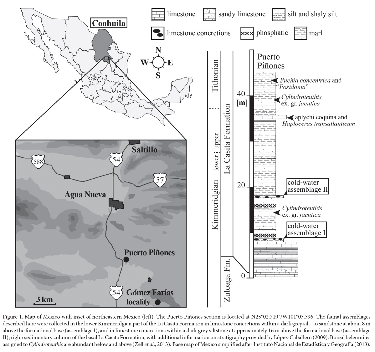 Kimmeridgian (Late Jurassic) cold-water idoceratids (Ammonoidea) from ...