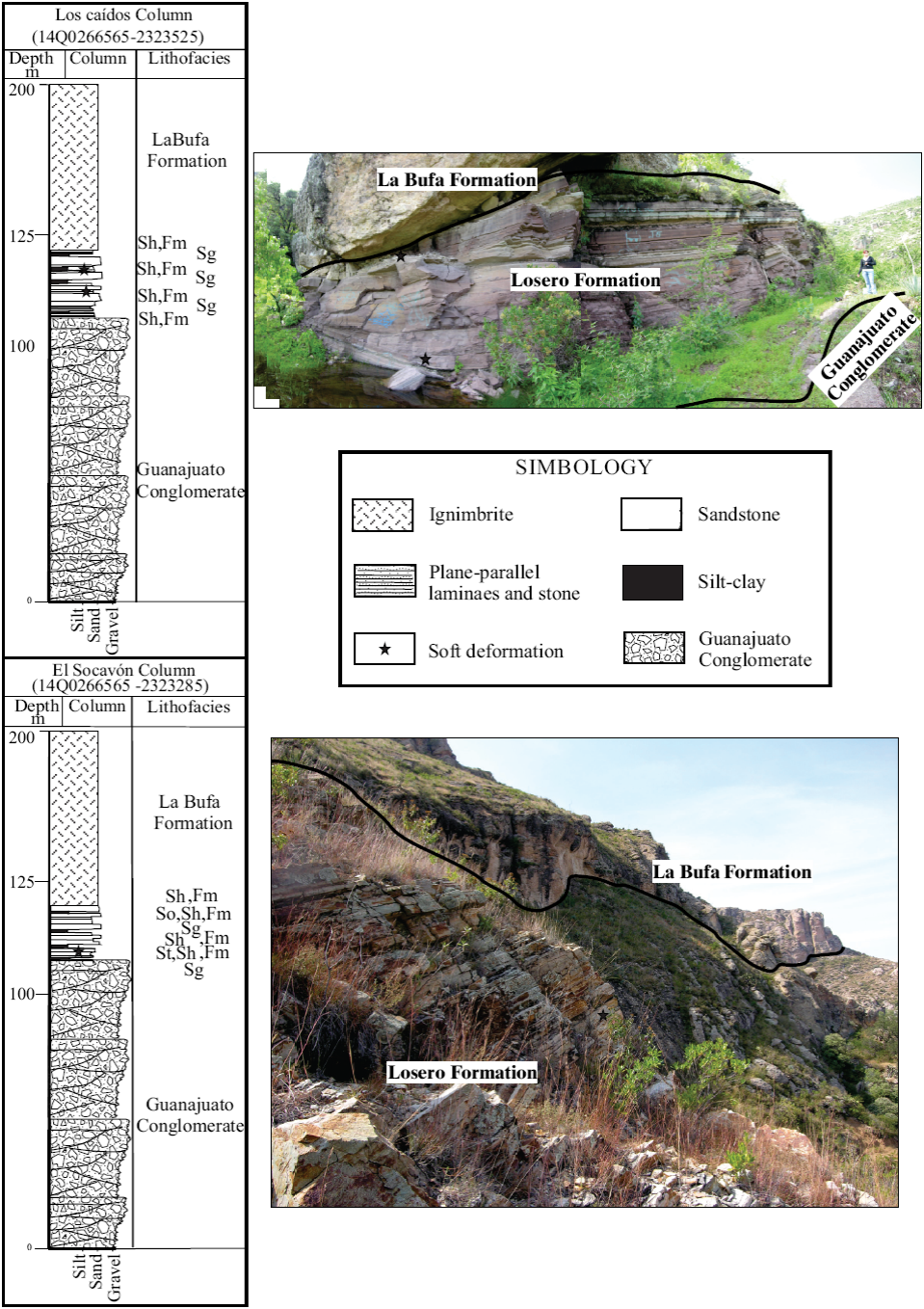 Cenozoic seismites and soft-sediment deformation structures in the ...
