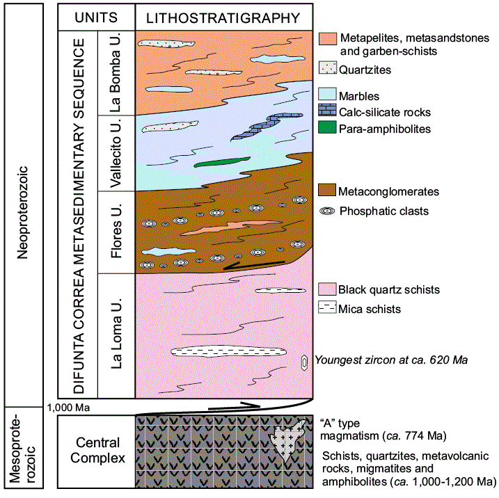 The Difunta Correa metasedimentary sequence (NW Argentina): relict of a ...