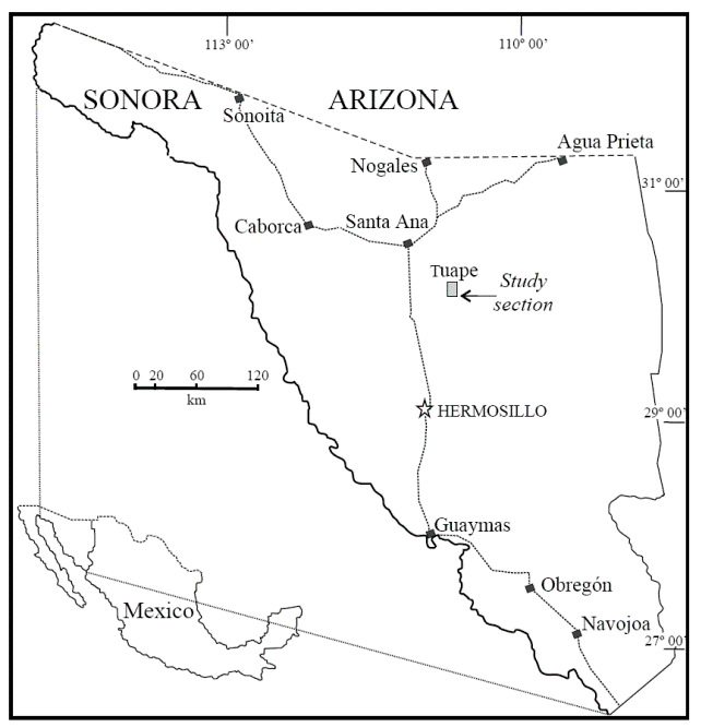 Paleoclimate, paleoweathering and paleoredox conditions of Lower ...