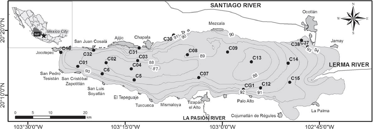 Trophic State Index estimation from remote sensing of lake Chapala, México