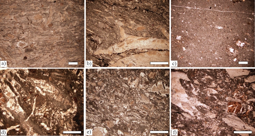 Petrography, geochemistry and stable isotopes of carbonate rocks, Lower ...