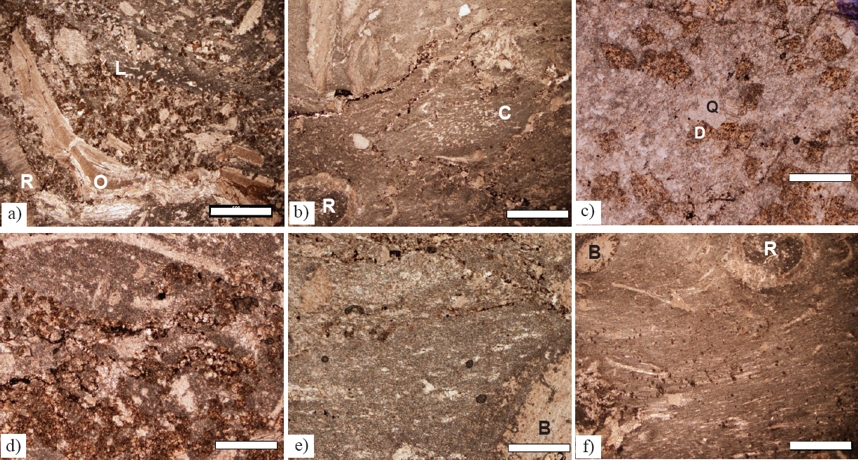 Petrography, geochemistry and stable isotopes of carbonate rocks, Lower ...