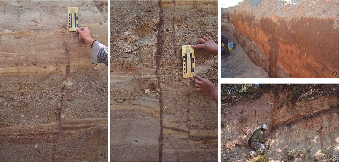 Soft-sediment deformation structures induced by seismic activity in the ...