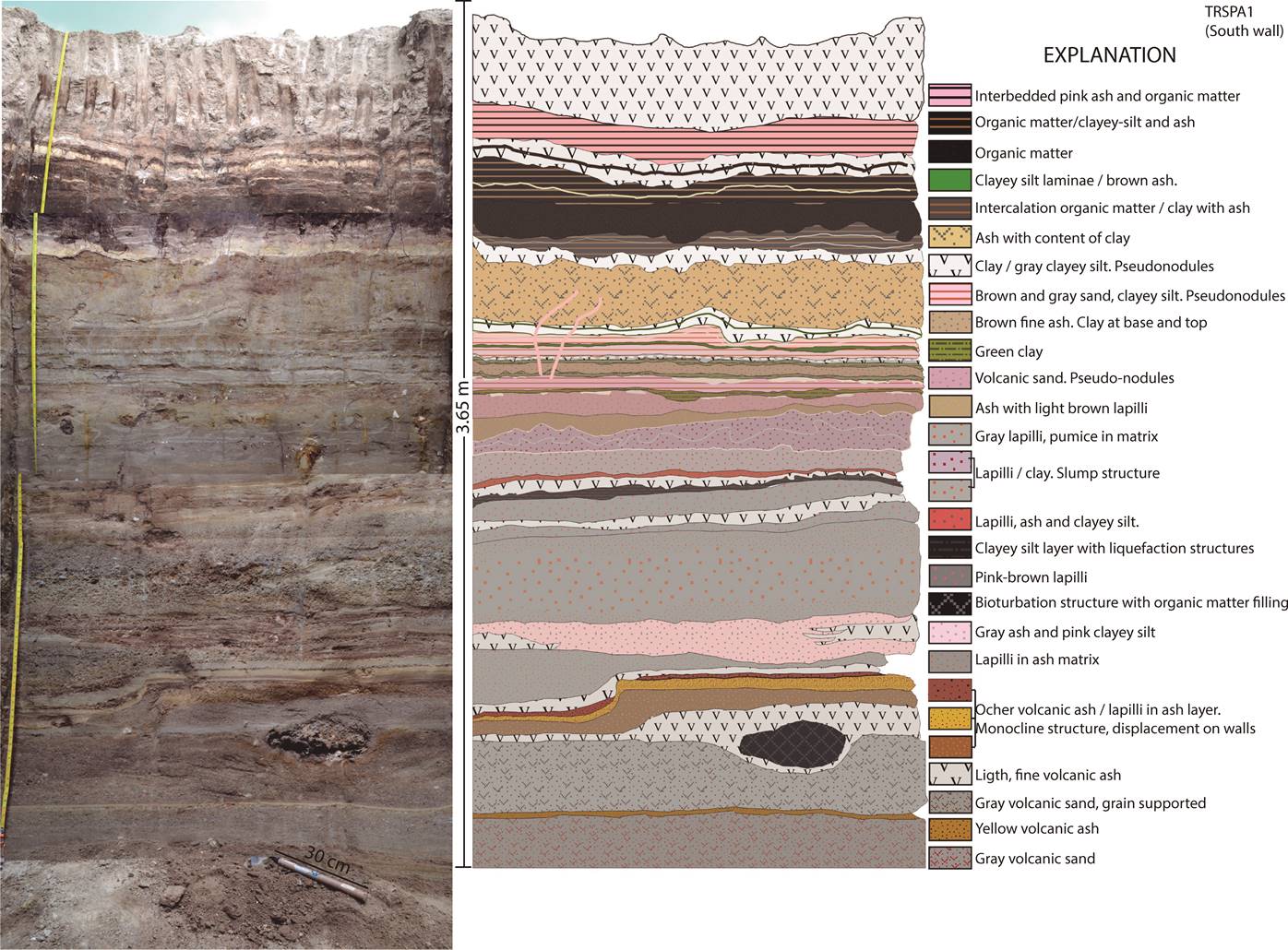Soft-sediment deformation structures induced by seismic activity in the ...