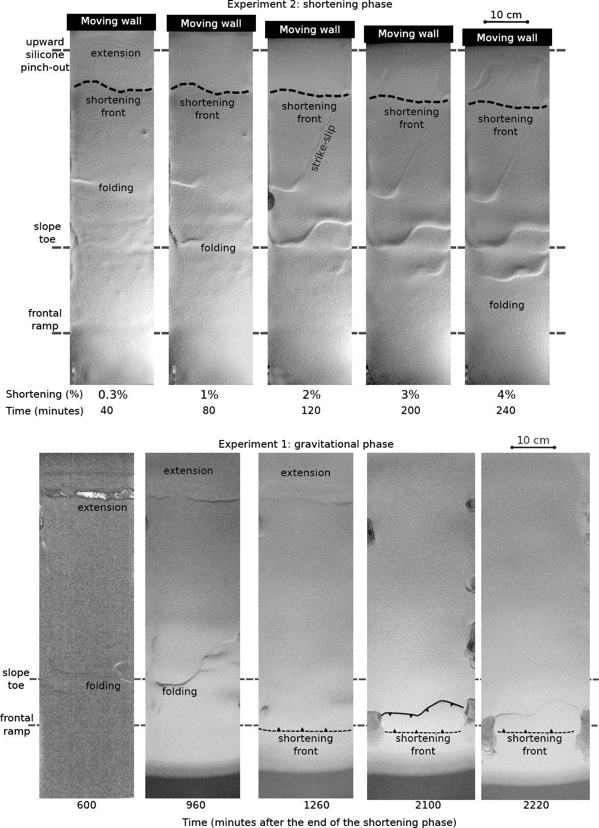 Analogue model of gravity driven deformation in the salt tectonics zone ...