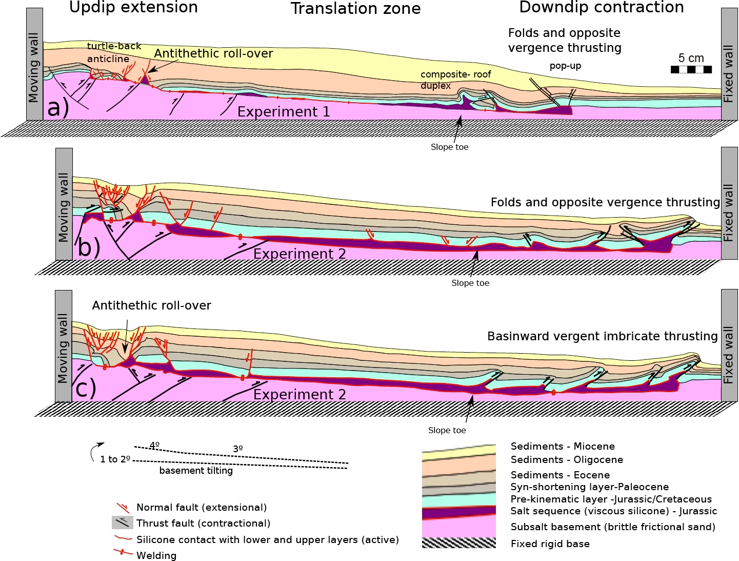 Analogue model of gravity driven deformation in the salt tectonics zone ...