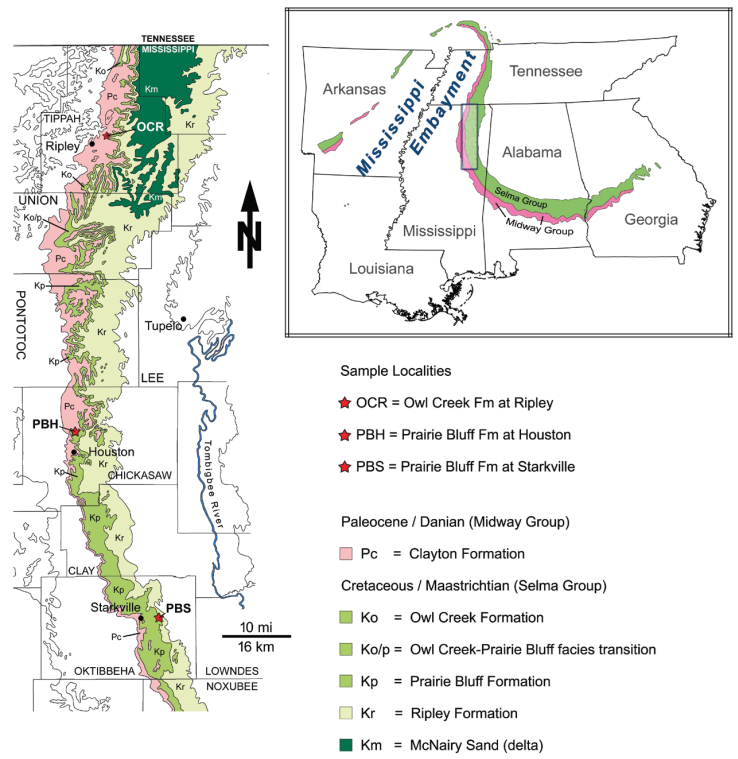 Cretaceous cultch: substrate availability for the oyster Exogyra in the ...