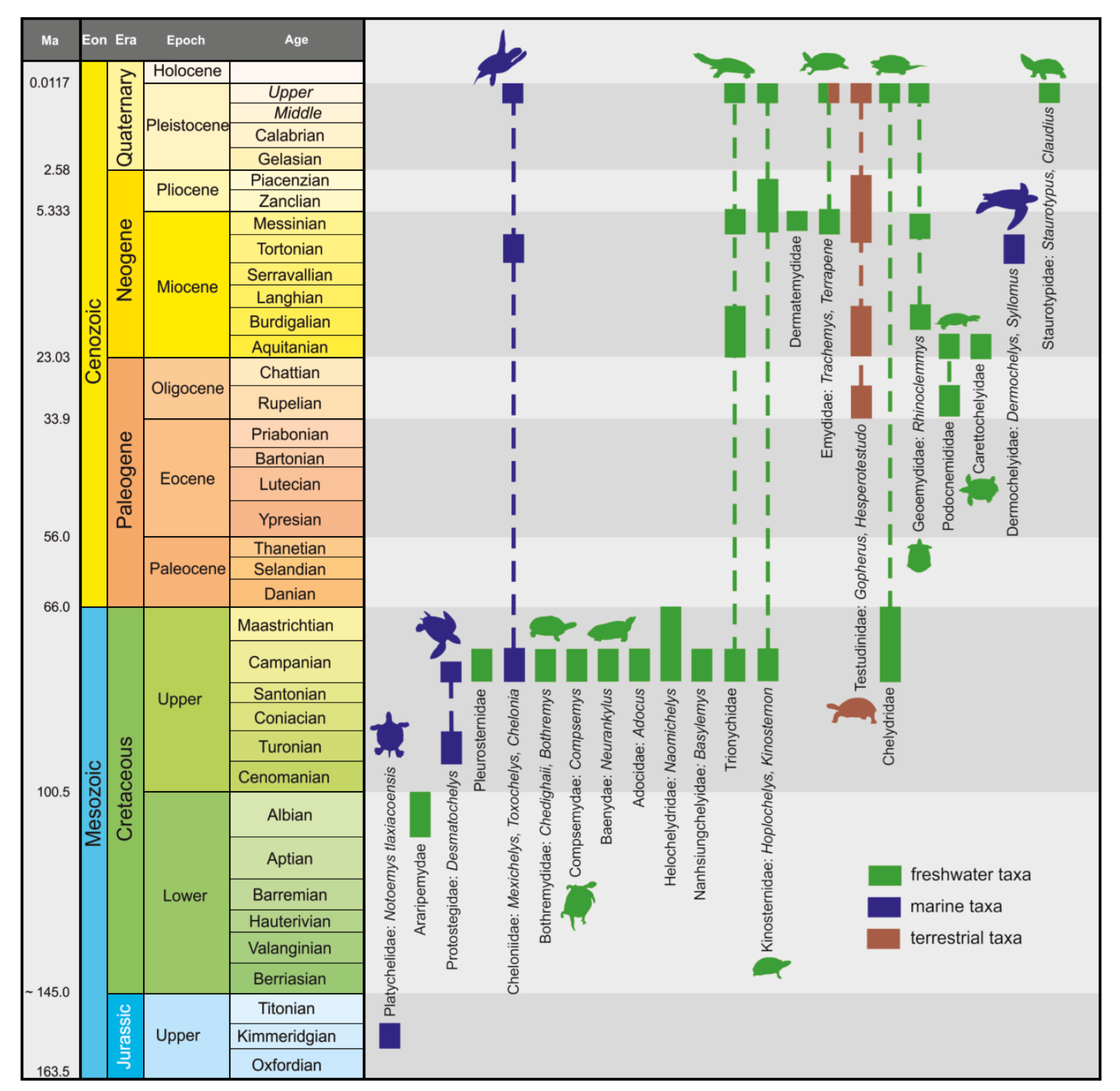 The fossil record of turtles and tortoises (Testudines) of Mexico ...