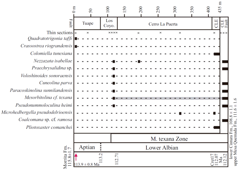 Lower Cretaceous (Aptian-Albian) Bisbee Group, Arizpe area, northern ...