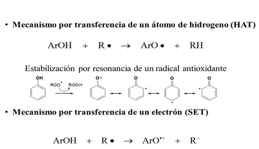 Estrés oxidativo y el uso de antioxidantes en la producción in vitro de ...
