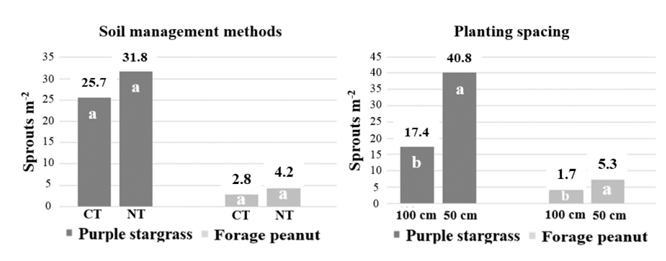 Soil management and planting spacing effects on establishment of mixed ...