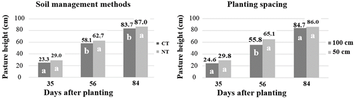 Soil management and planting spacing effects on establishment of mixed ...