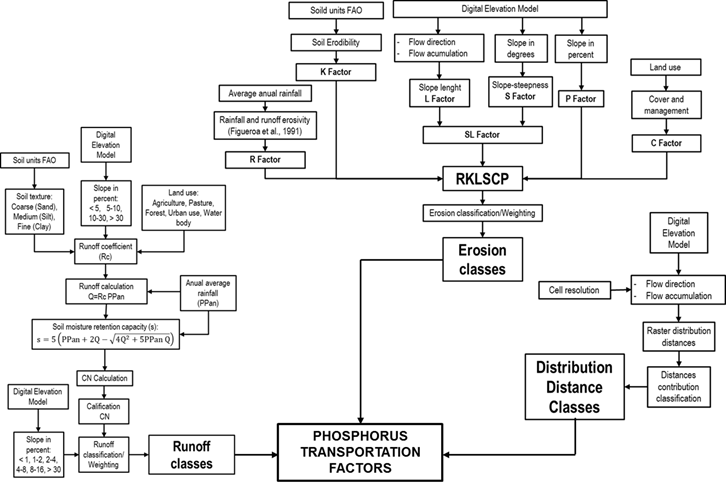 Phosphorus Cycle Flow Chart