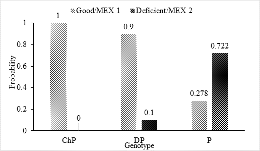 Growth performance and carcass classification of pure Pelibuey and ...