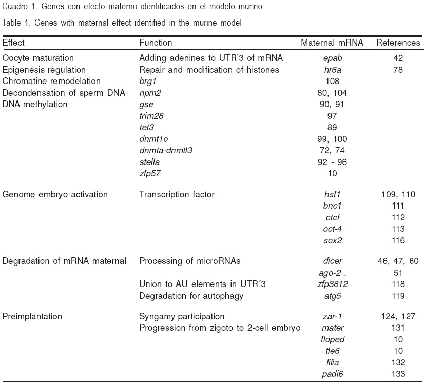 Efectos de los RNAm maternos sobre la maduración del ovocito y el ...