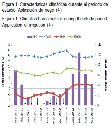 Productividad de asociaciones de pasto ovillo (Dactylis glomerata L ...