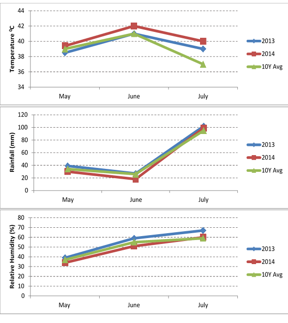 Forage productivity of cowpea [Vigna unguiculata (L.) Walp] cultivars ...