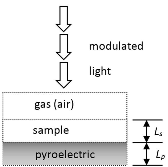 CO2 measurement system based on pyroelectric detector