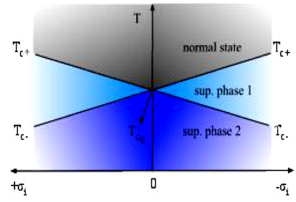 Symmetry field breaking effects in Sr2RuO4